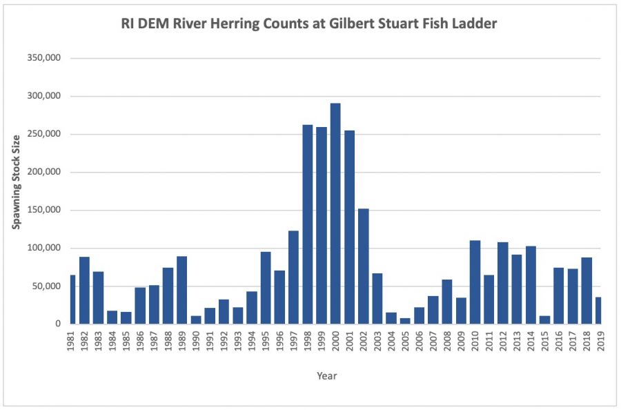 We Count on our Buckies: River Herring Migration 1981-2019 – Rhode ...
